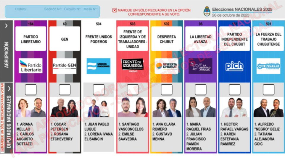 Cómo será la boleta única papel en Chubut